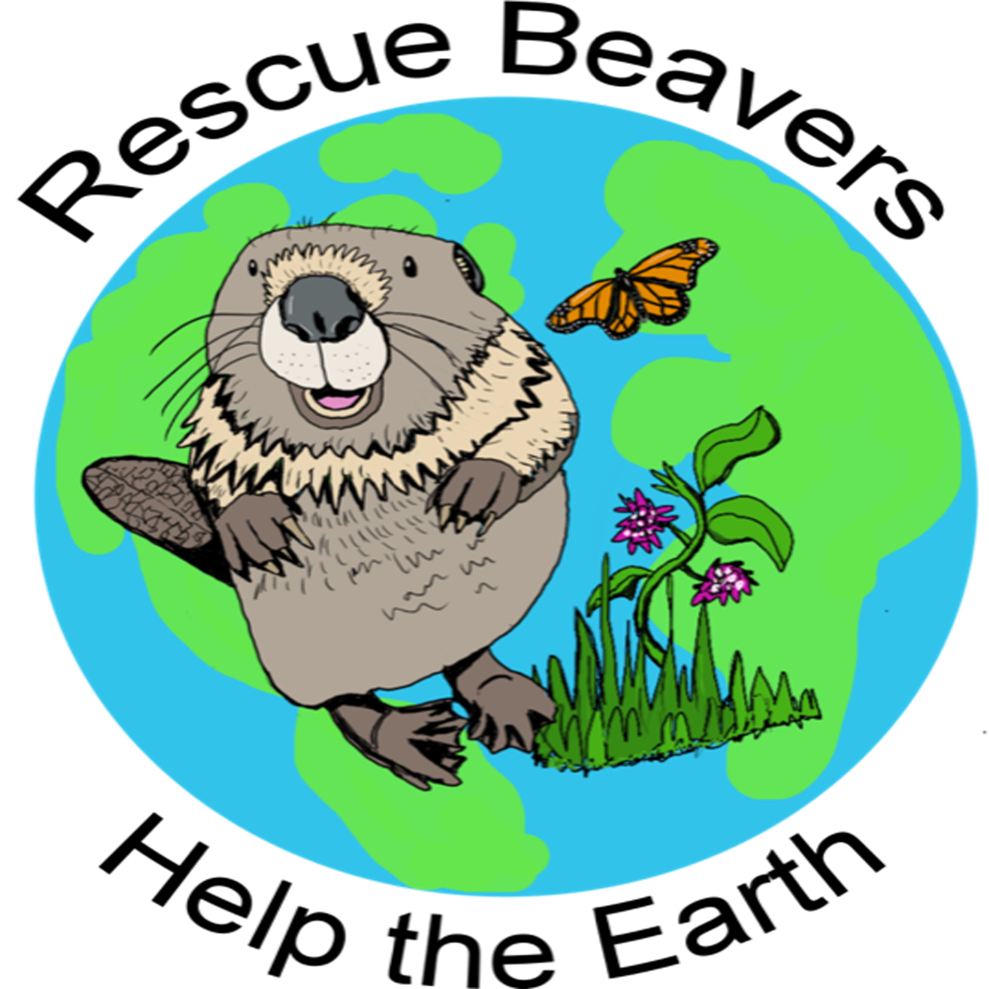 Collections – Rescue Beavers