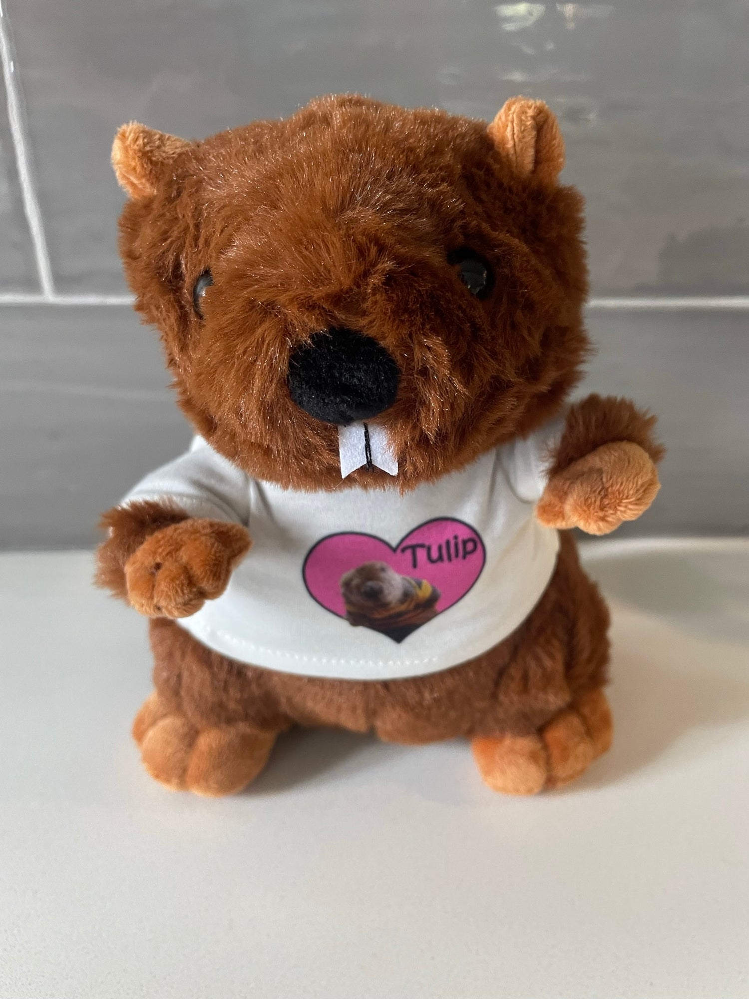 Rescue Beaver Merchandise – Rescue Beavers